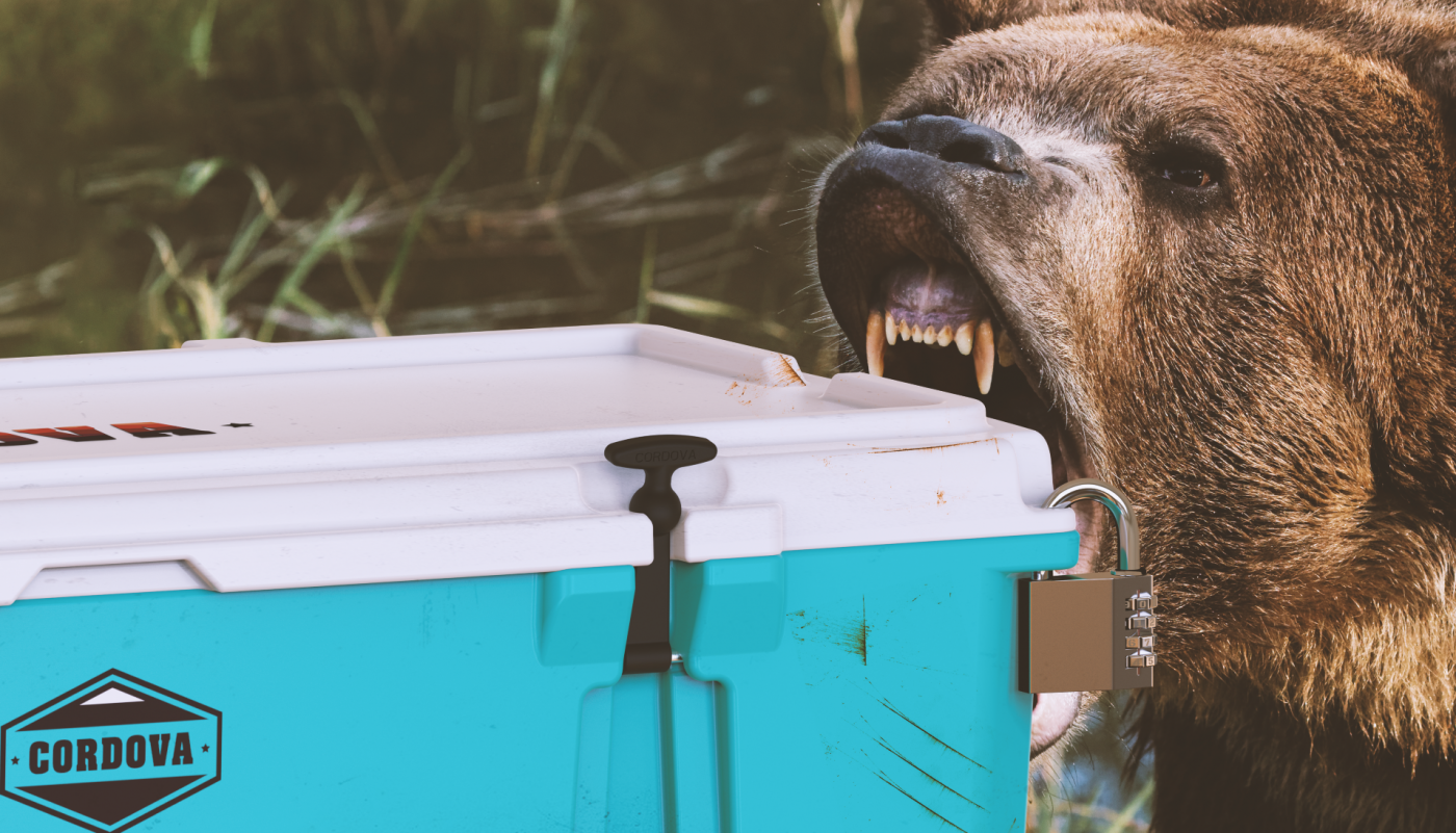 BEAR PROOF COOLERS: WHY (AND WHERE AND WHEN) IT MATTERS | Cordova Outdoors